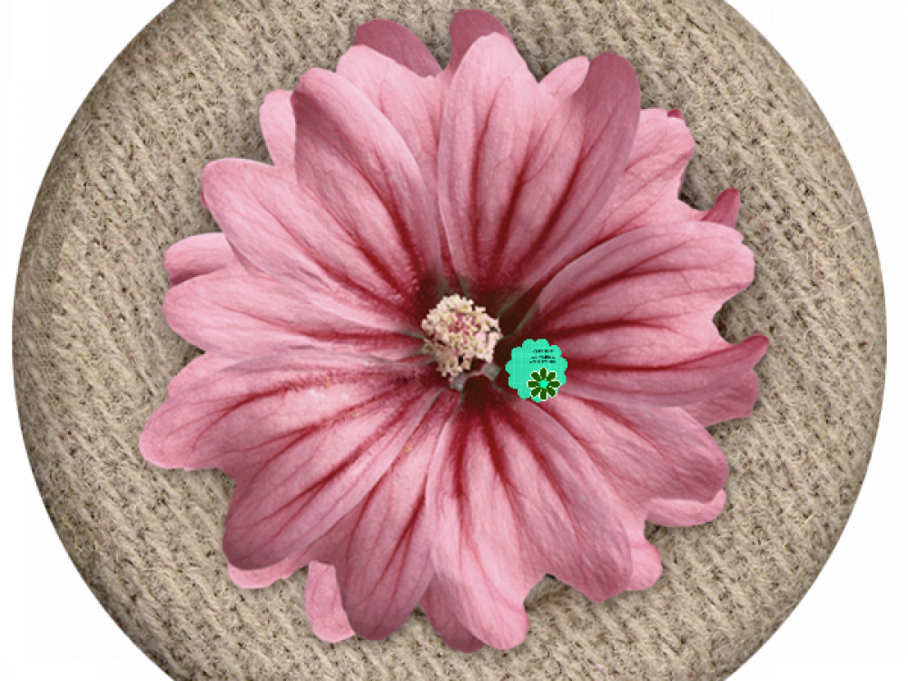 FREE PRINT | Pink Flower Fabric Button - CREATIVE MEMORIES | My ...